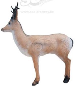 3D TARGETS - israelarchery.co.il